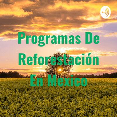 Programas De Reforestación En Mexico