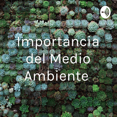 Importancia del Medio Ambiente