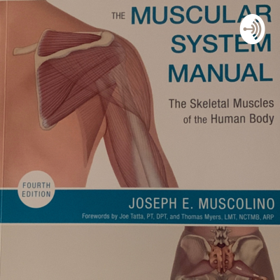 Functional Anatomy Assistance