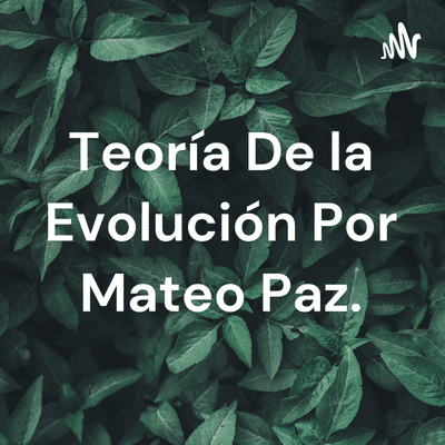 Teoría De la Evolución Por Mateo Paz.