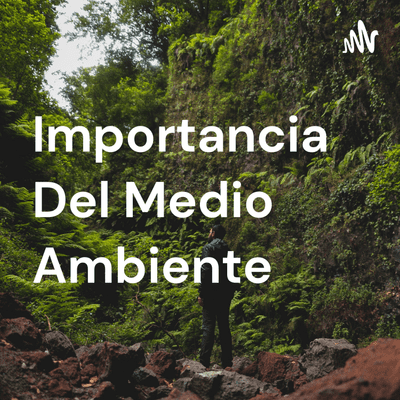 Importancia Del Medio Ambiente