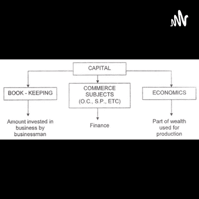 Types Of Capital Explained