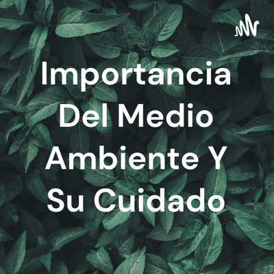 Importancia Del Medio Ambiente Y Su Cuidado