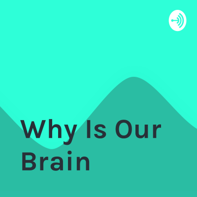 Why Is Our Brain