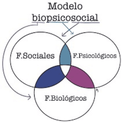 Modelo Biopsicosocial Y Fenómenos Sociales