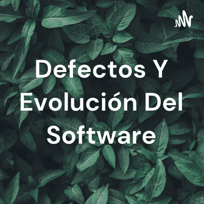 Defectos Y Evolución Del Software