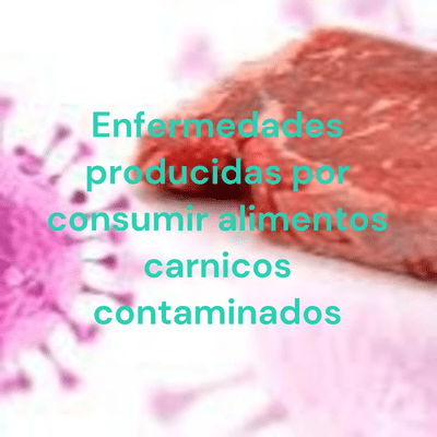 Enfermedades producidas por consumir alimentos carnicos contaminados