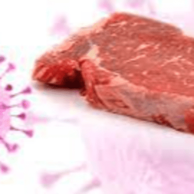 Enfermedades producidas por consumir alimentos carnicos contaminados