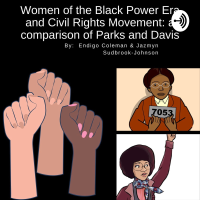 Women of the Black Power Era and the Civil Rights Movement: A ...