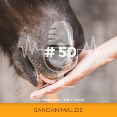 SANOANIMAL – Fütterungs- und Therapiewissen rund ums Pferd