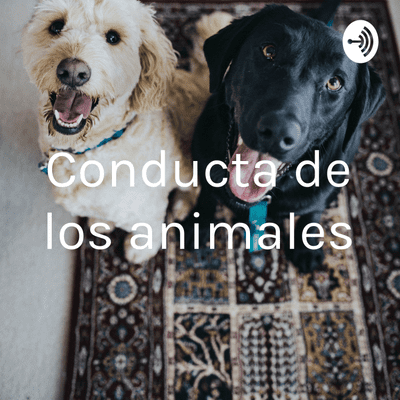 Conducta de los animales